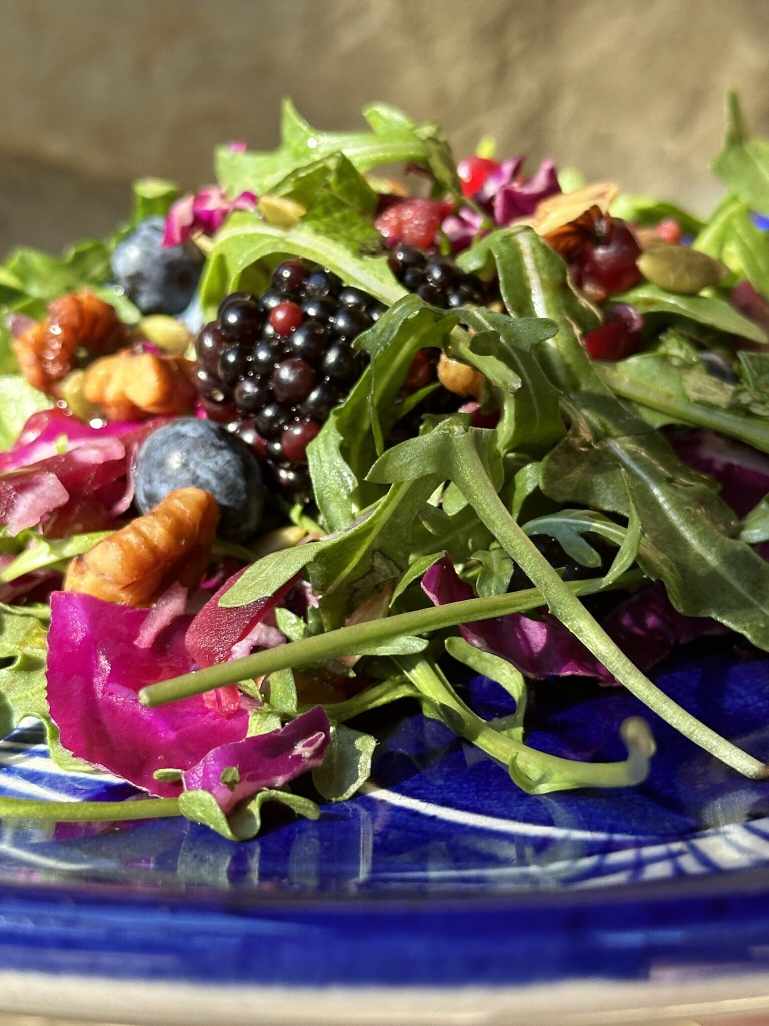 Polyphenol Bomb Salad - EverVital Nutrition